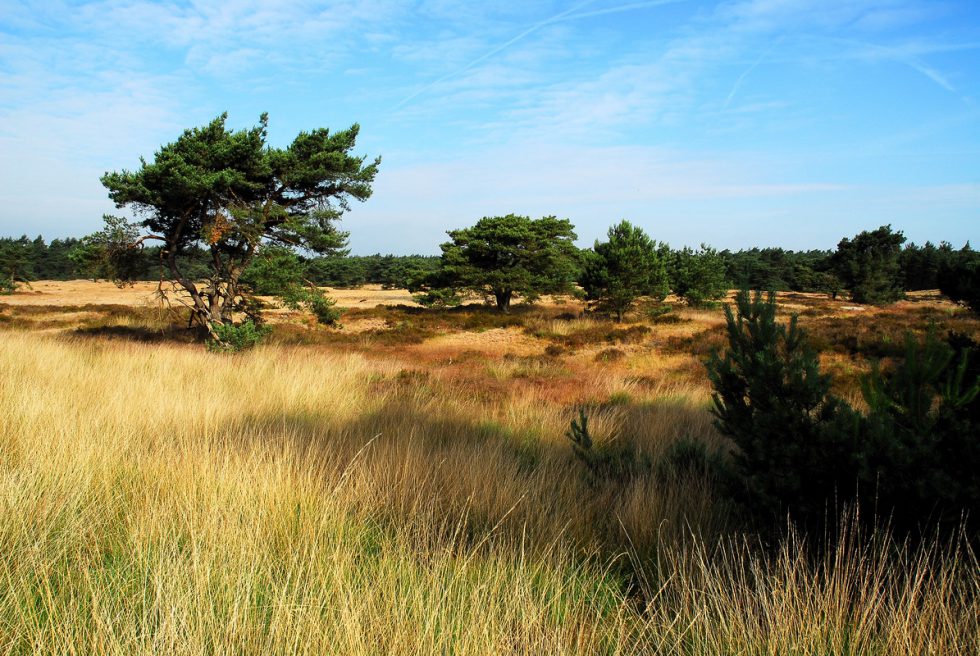 Pannenkoekhuis Schaarsbergen | Kemperbergerweg 673 6816 RV Arnhem